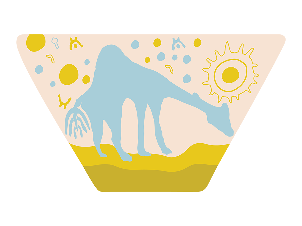 AlUla Patterns Library - Wadi AlNaam Patterns | The Living Museum